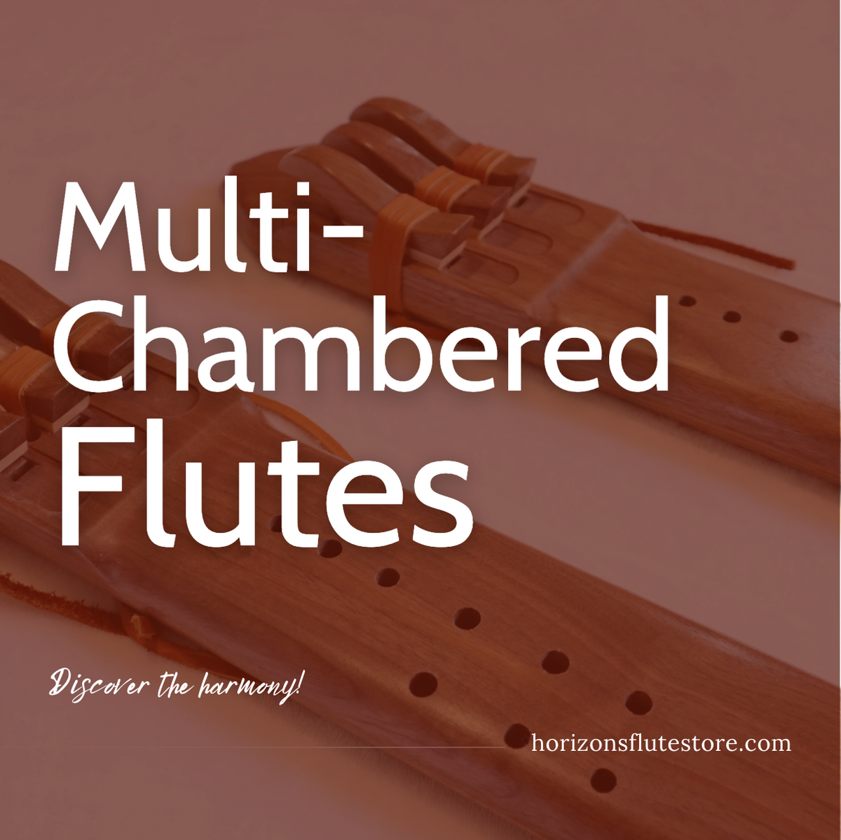 Multi-Chambered Flutes — Horizons Flute Store